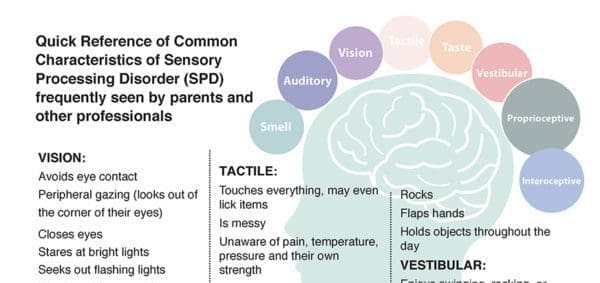 Quick Reference of Common Characteristics of Sensory Processing ...