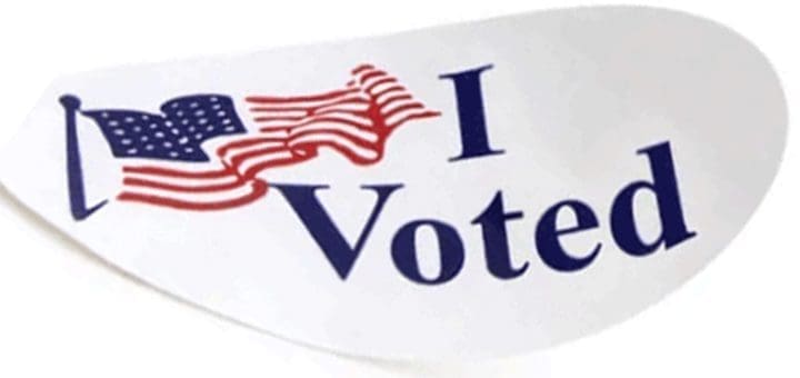 The Most Valuable Sticker: I Voted - Parenting Special Needs Magazine